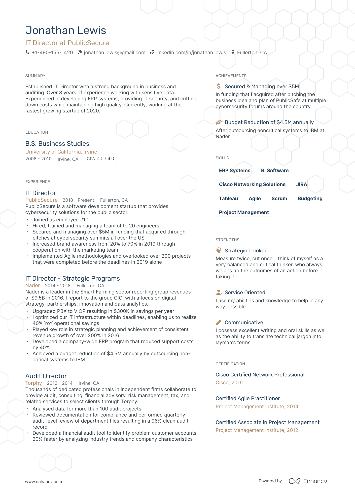 8 IT Director Resume Examples & Guide for 2024