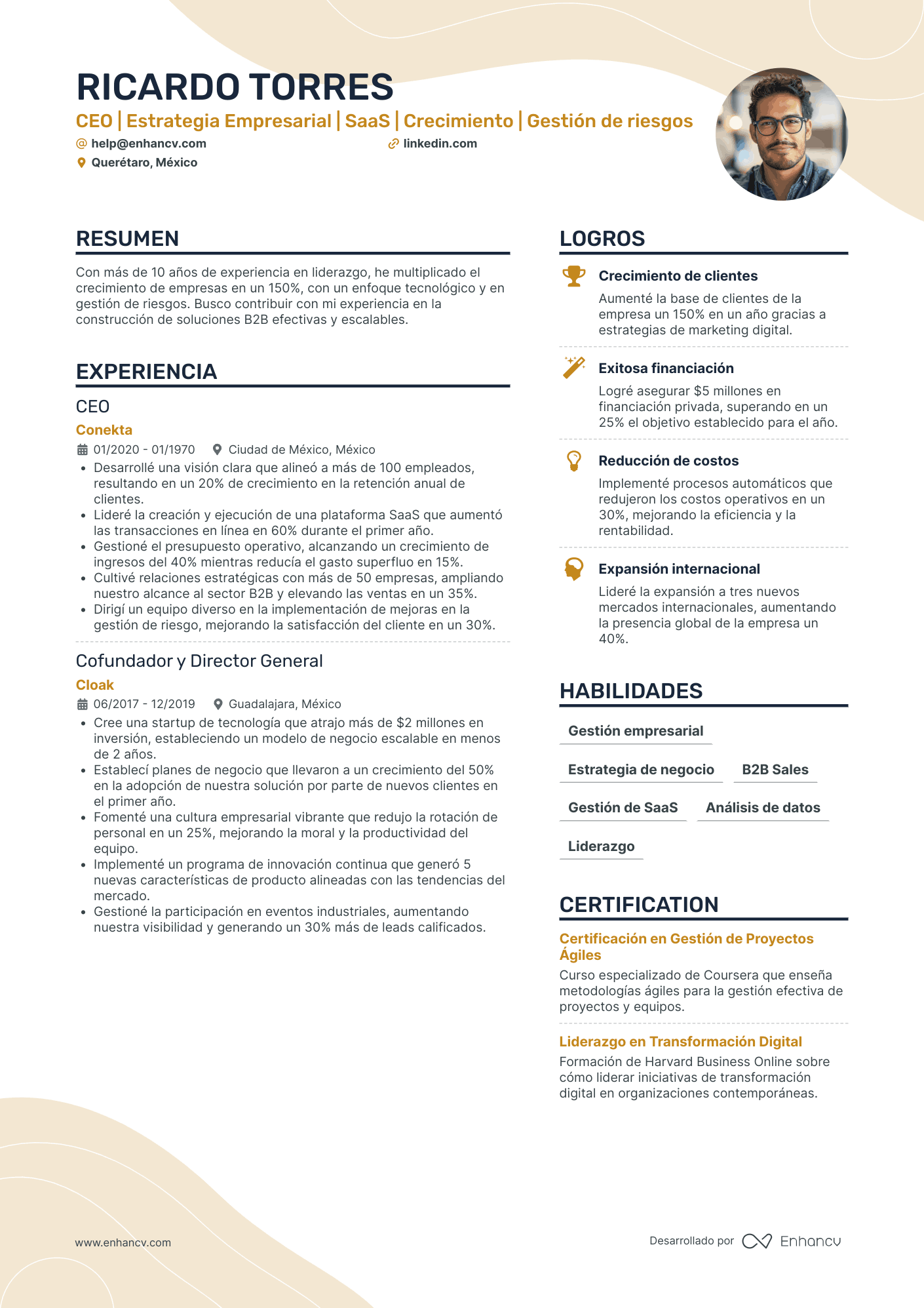 Cv Director General De Empresa Ejemplos Y Plantillas