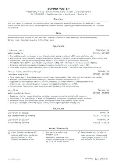 Registered Nurse CV Examples & Guide for 2026