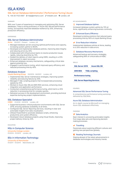 Power Bi CV Examples & Guide for 2026