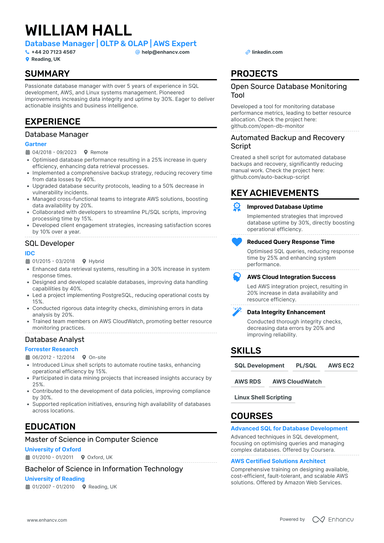 SQL Developer CV Examples & Guide for 2025