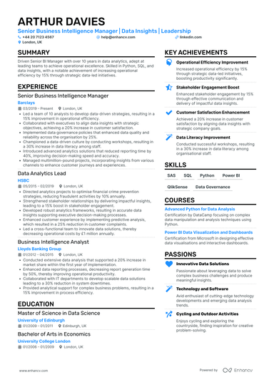 Power Bi CV Examples & Guide for 2025
