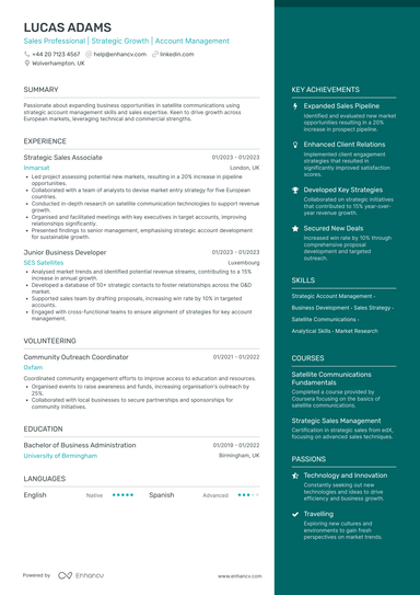 Sales Director CV Examples & Guide for 2026
