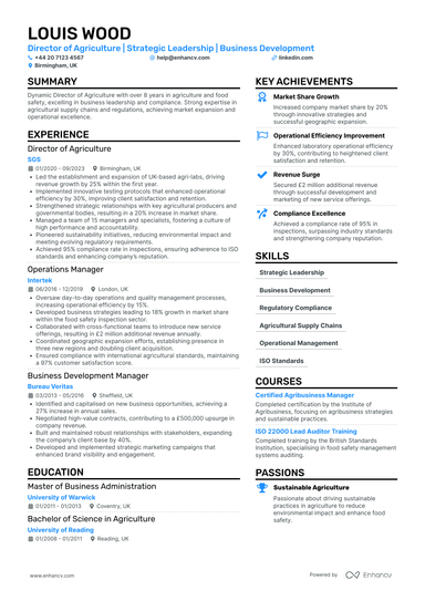 CEO CV Examples & Guide for 2026