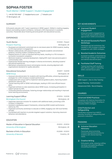 Mentor CV Examples & Guide for 2026