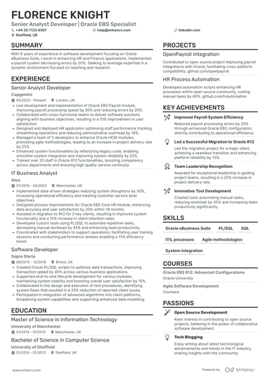 SQL Developer CV Examples & Guide for 2025