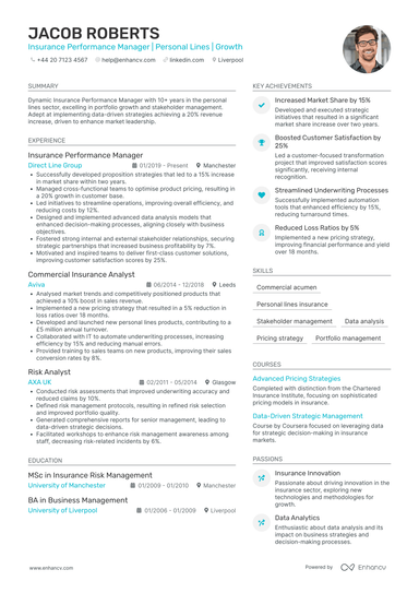 Portfolio Manager CV Examples & Guide for 2026