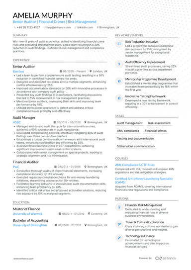 Auditor CV Examples & Guide for 2026