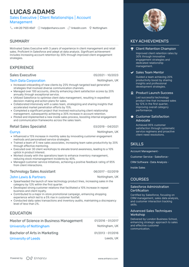 Sales Director CV Examples & Guide for 2026