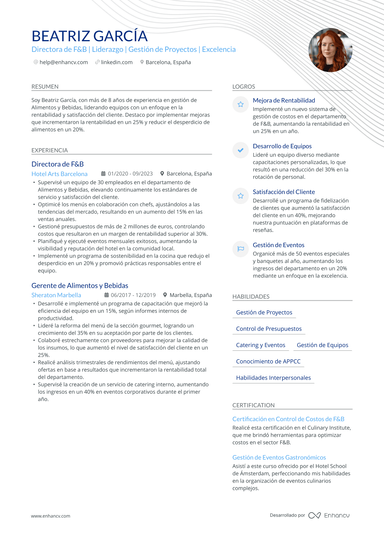 CV Director General de Empresa: Ejemplos y Plantillas