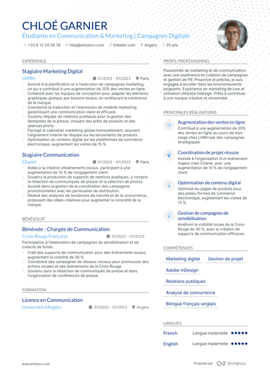 CV Étudiant : Astuces pour Être Choisi + Exemples et Modèles