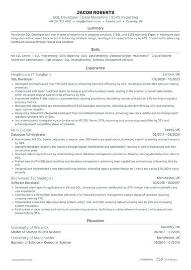 SQL Developer CV Examples & Guide for 2025