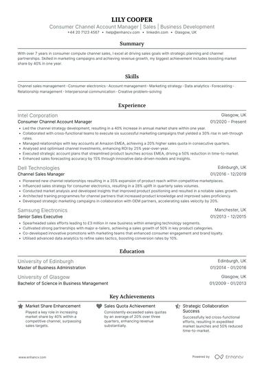 Business Owner CV Examples & Guide for 2026
