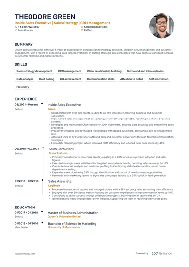 Sales Executive CV Examples & Guide for 2026