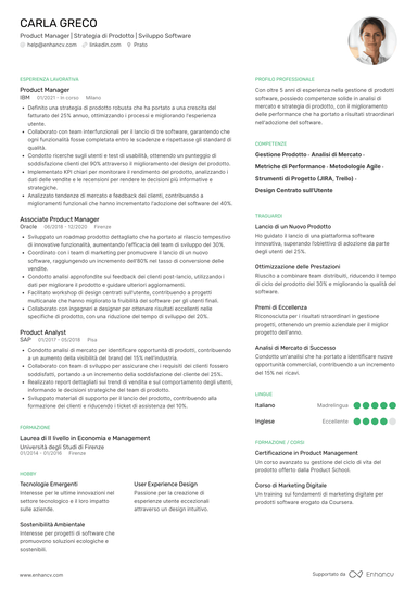 Curriculum Manager: Esempi, Consigli e Modelli per il Tuo CV Perfetto