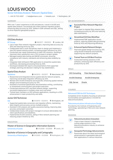Senior Data Analyst CV Examples & Guide for 2025