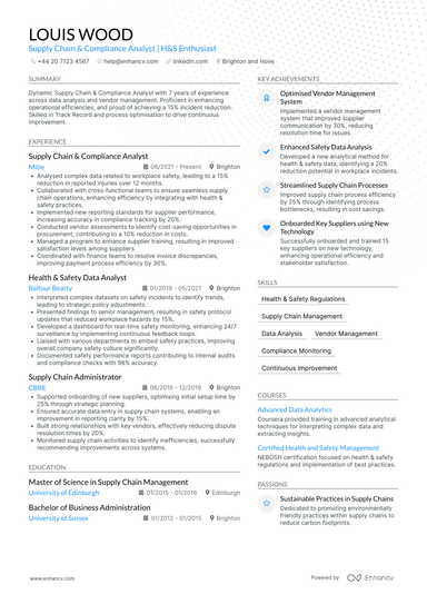 System Analyst CV Examples & Guide for 2026