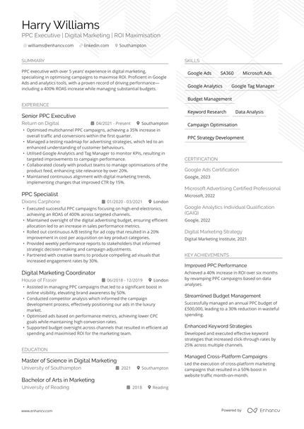 40+ Professional CV (Curriculum Vitae) Templates | PDF Download