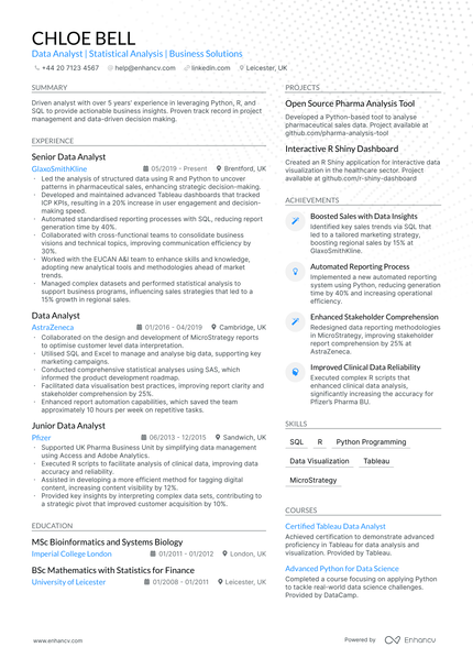 Senior Data Analyst CV Examples & Guide for 2025