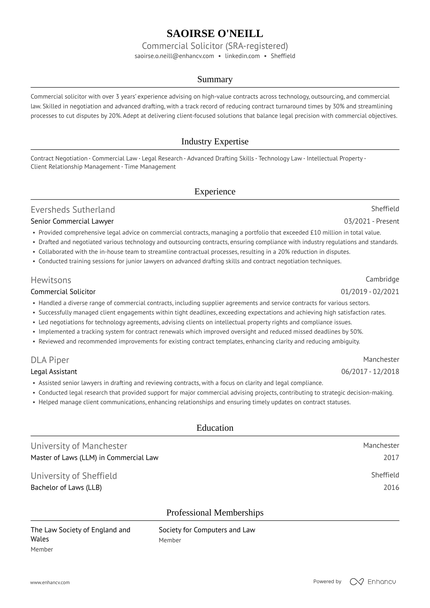 40+ Professional CV (Curriculum Vitae) Templates | PDF Download