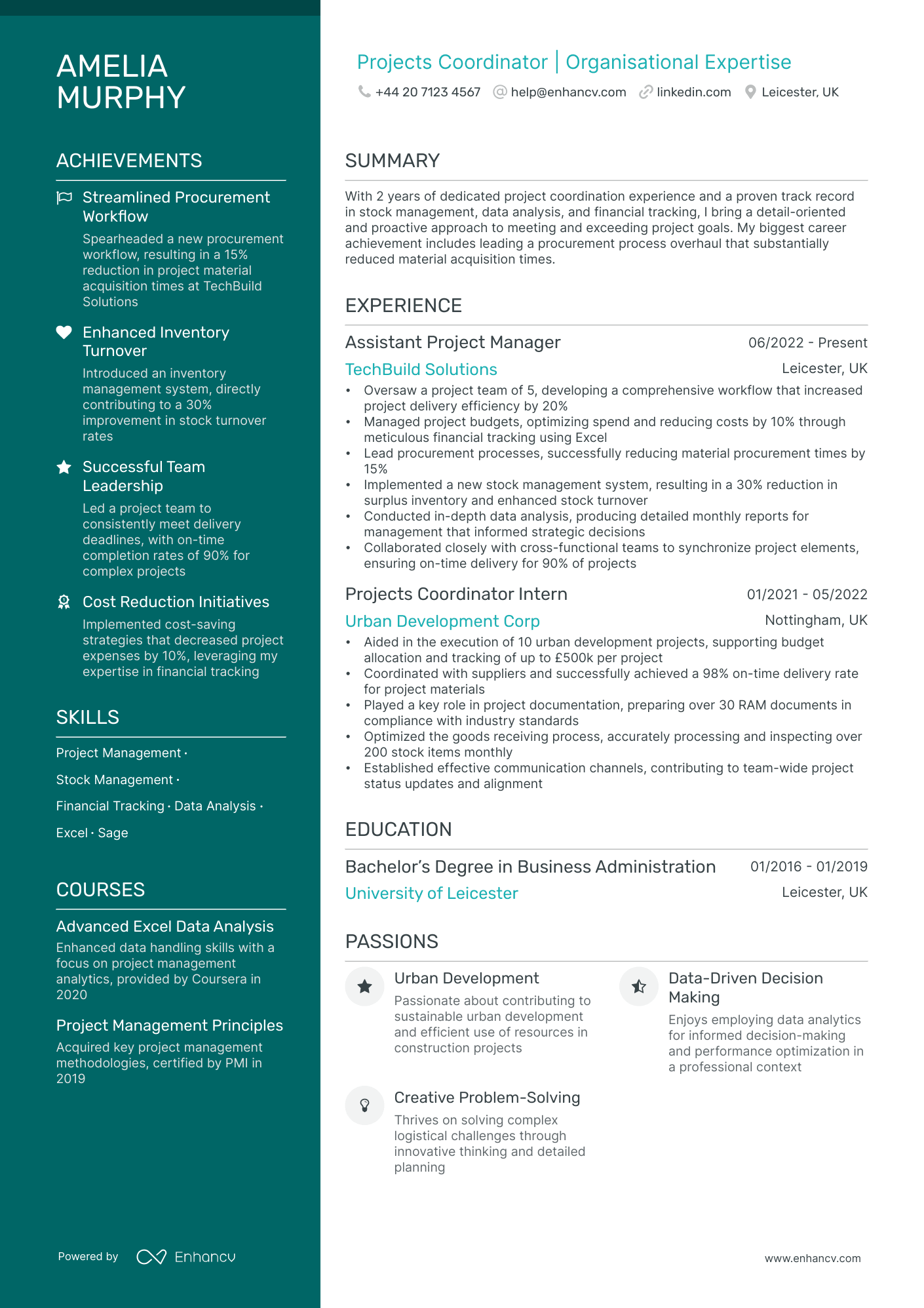 Junior Project Manager CV Examples & Guide for 2025