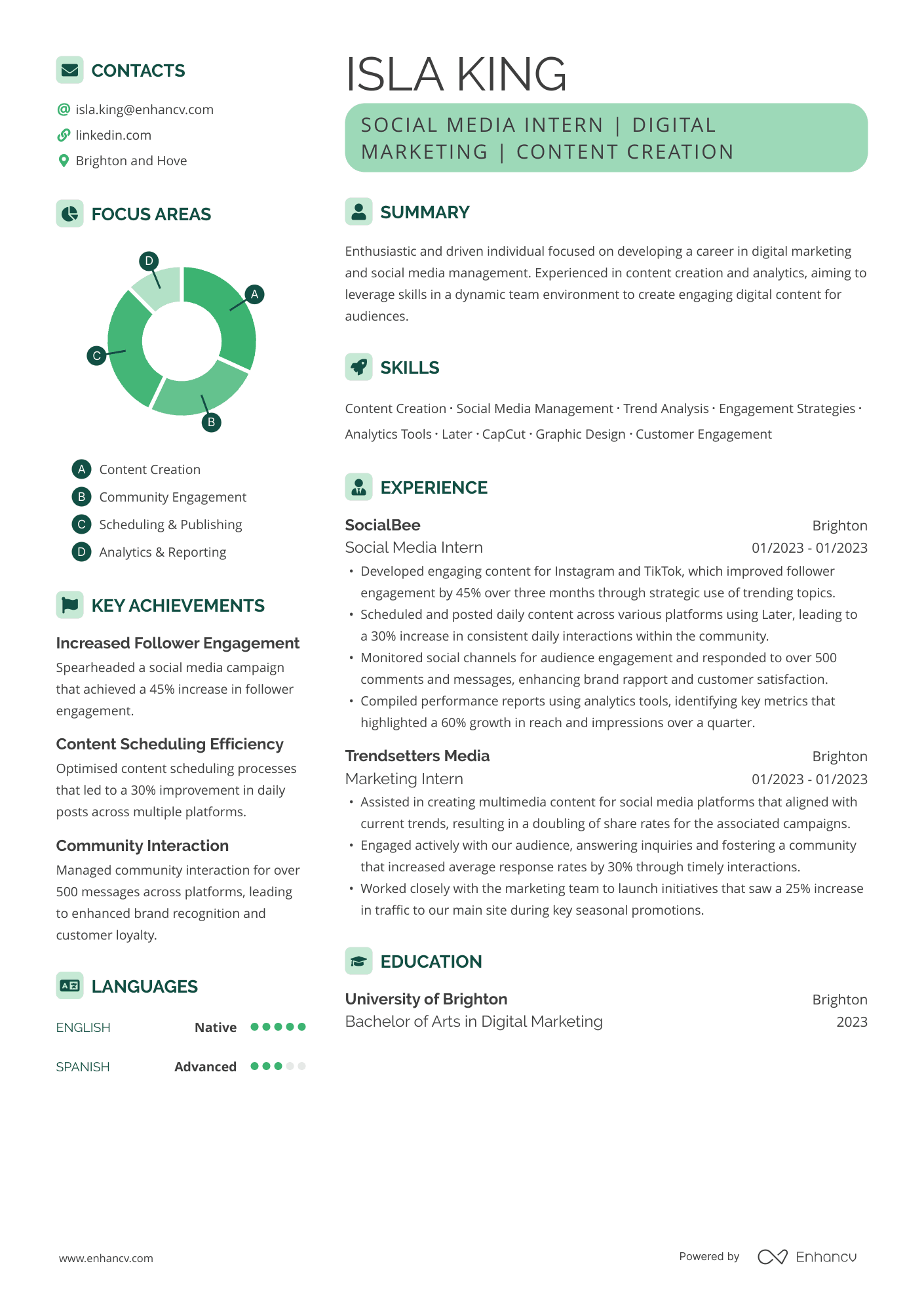 40+ Professional CV (Curriculum Vitae) Templates | PDF Download