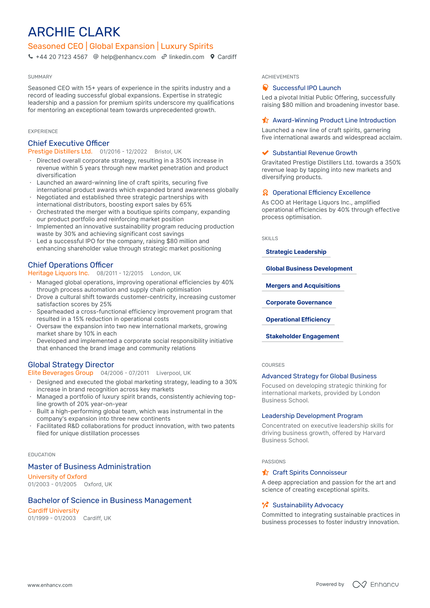 Executive Director CV Examples & Guide for 2025