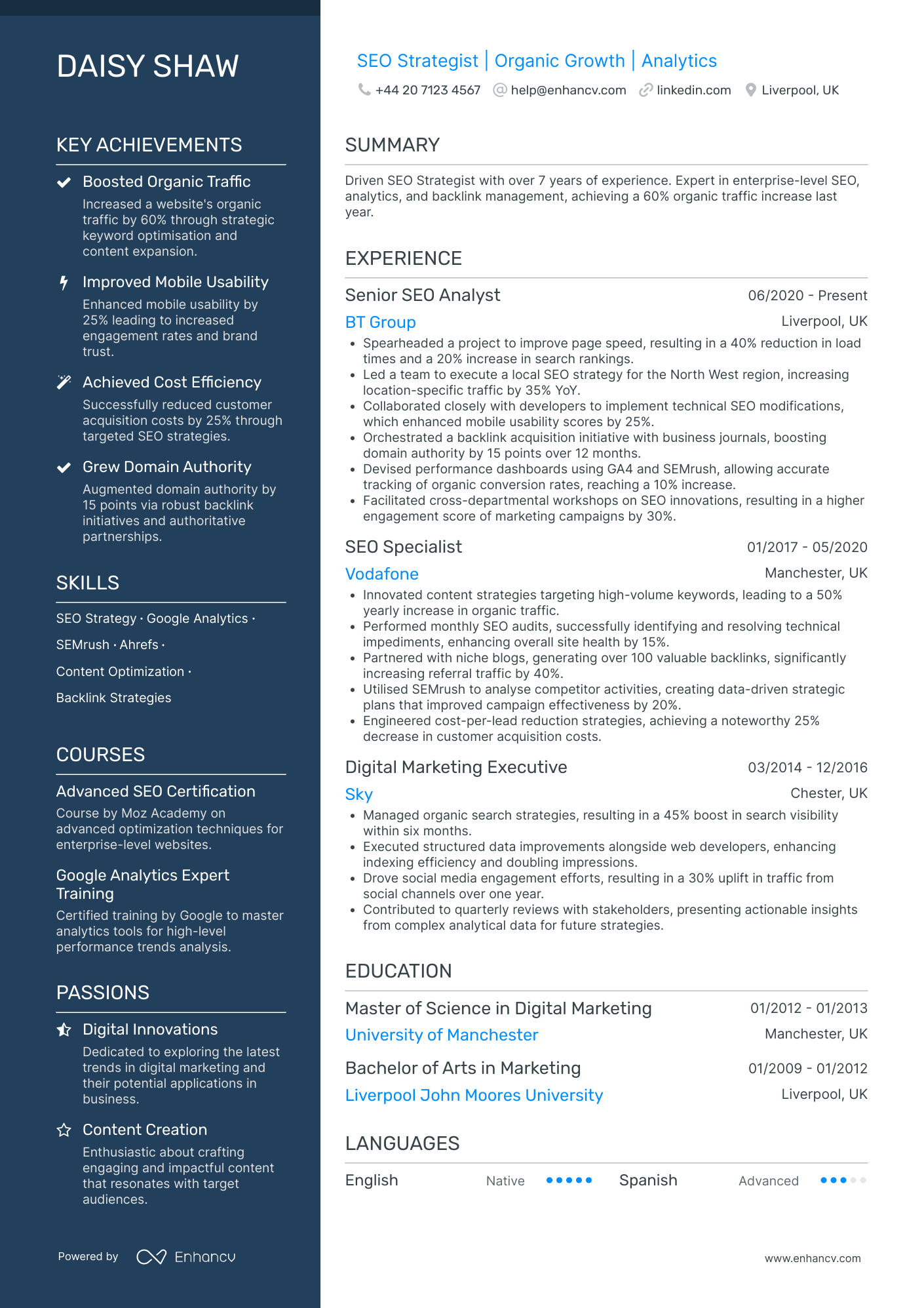 SEO CV Examples & Guide for 2026