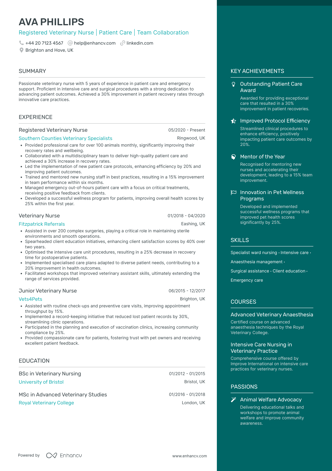 Registered Nurse CV Examples & Guide for 2026