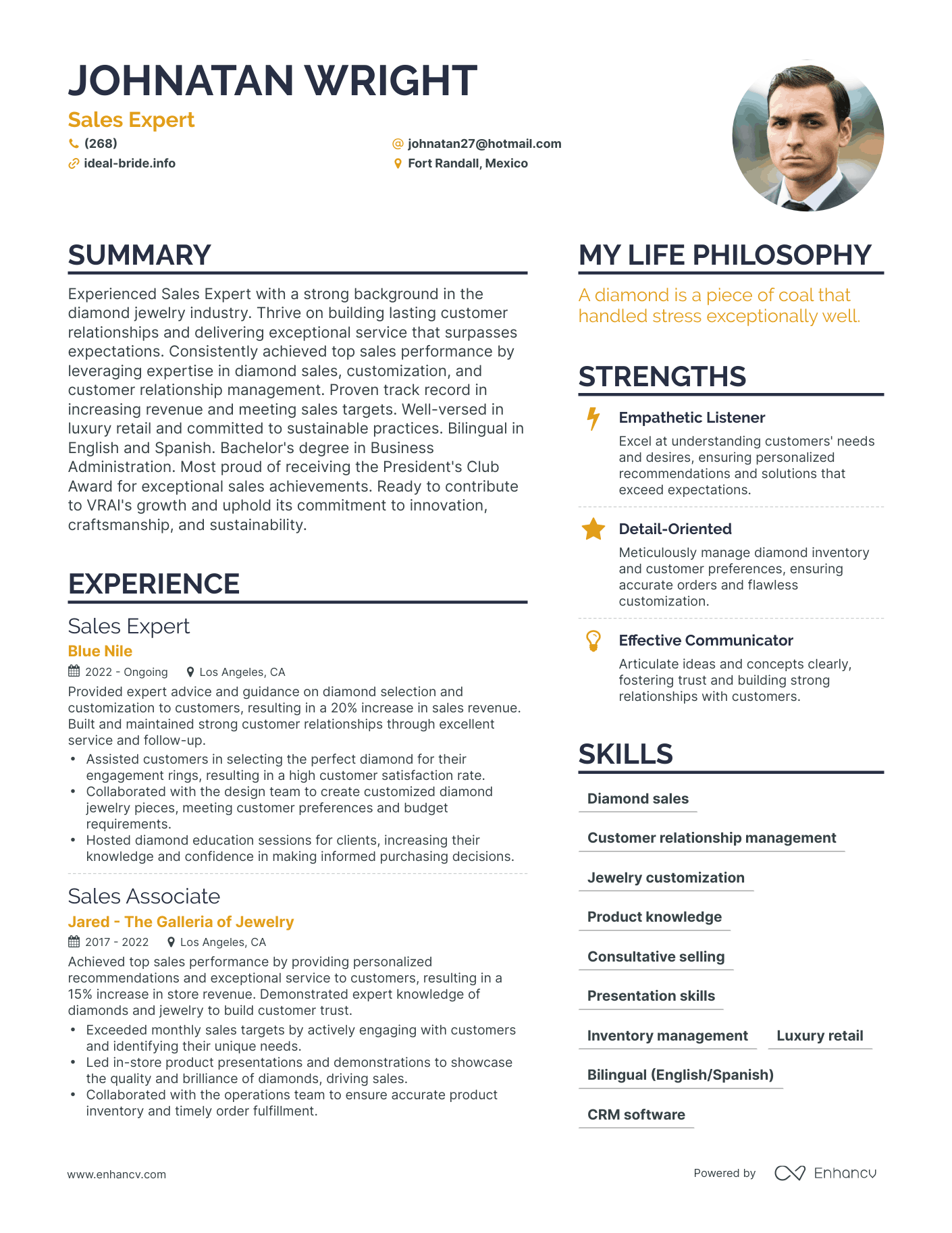 3 Successful Sales Expert Resume Examples And Writing Tips For 2024