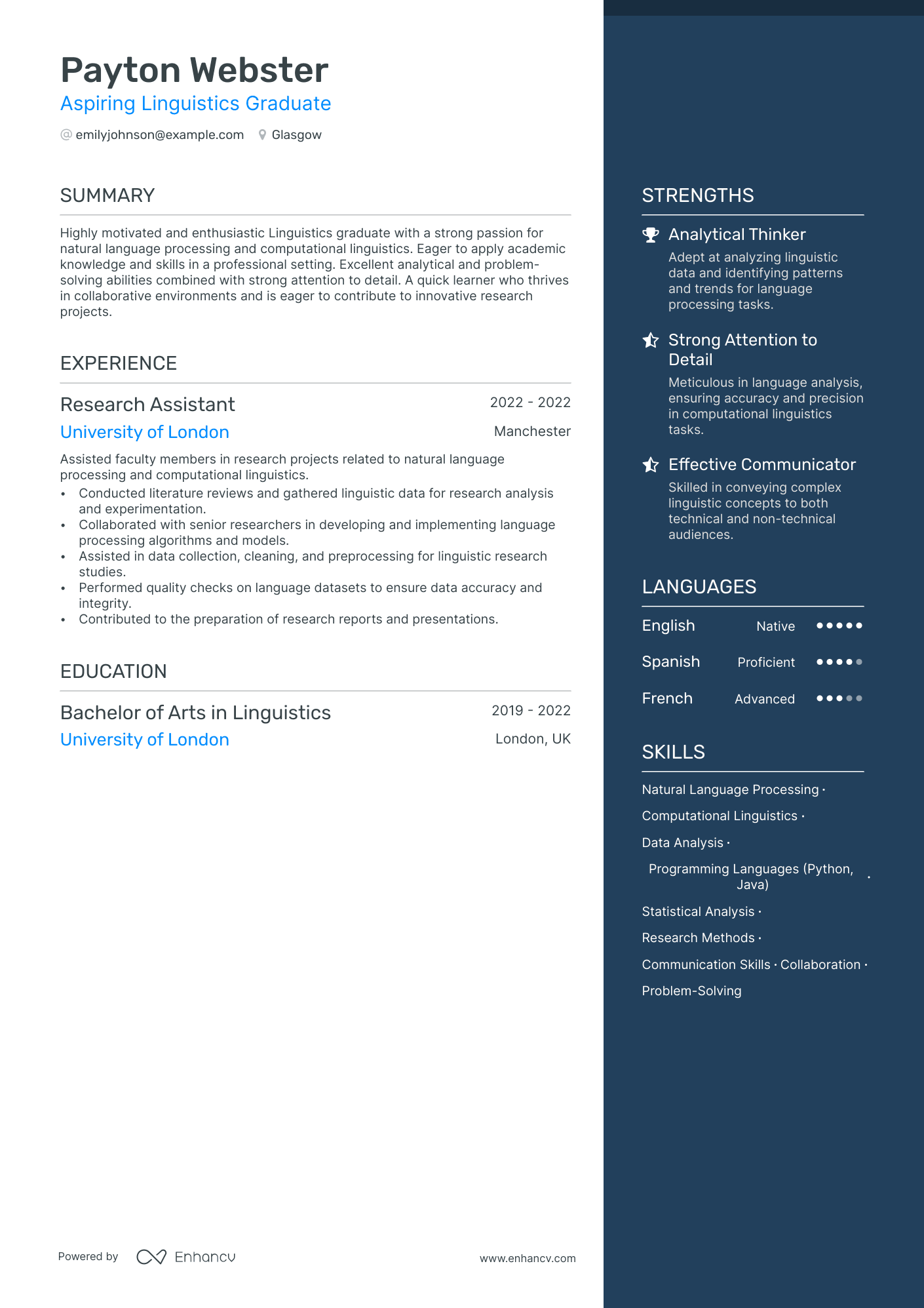 3 Professor CV Examples for 2024