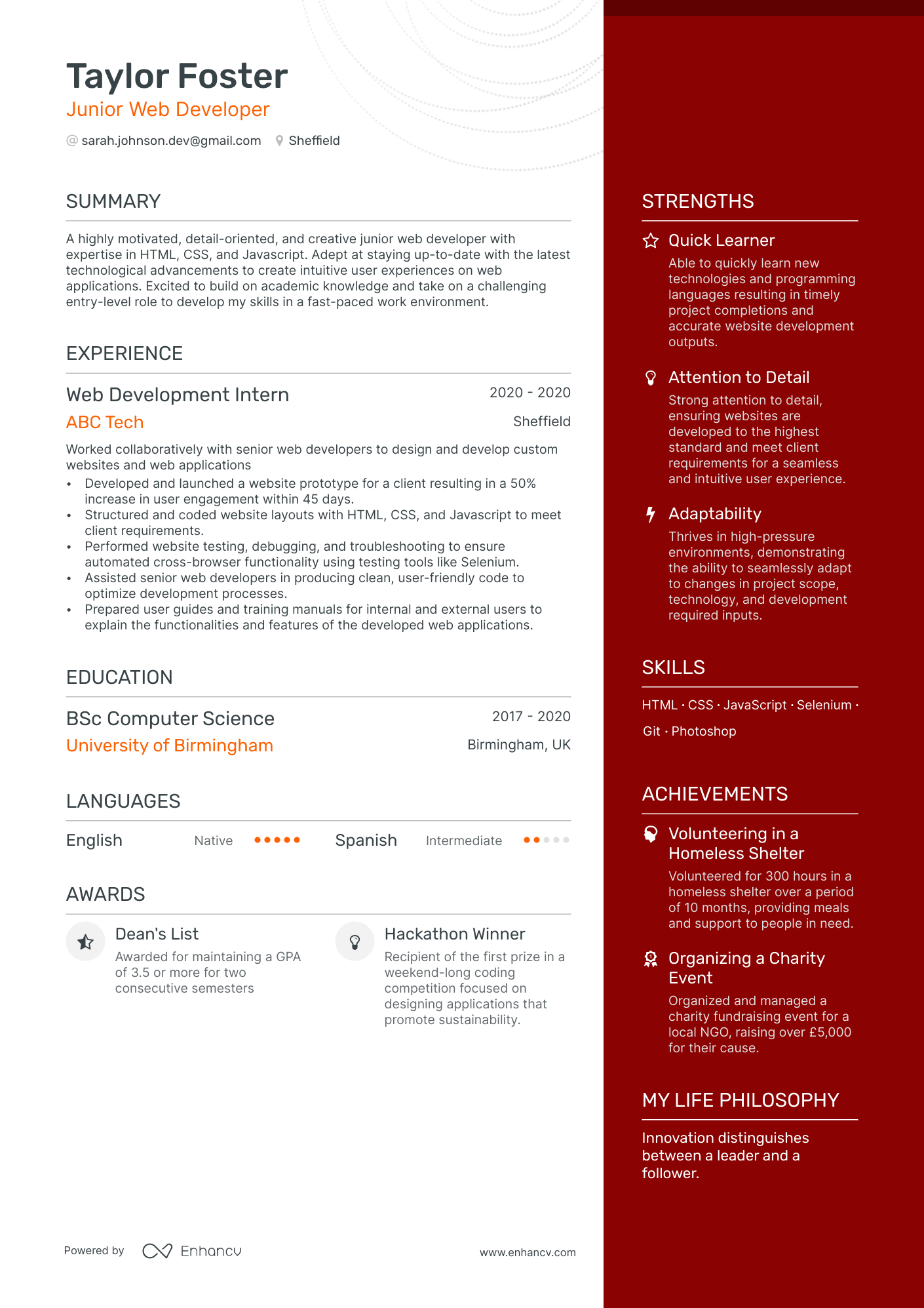 3 Developer CV Examples for 2024
