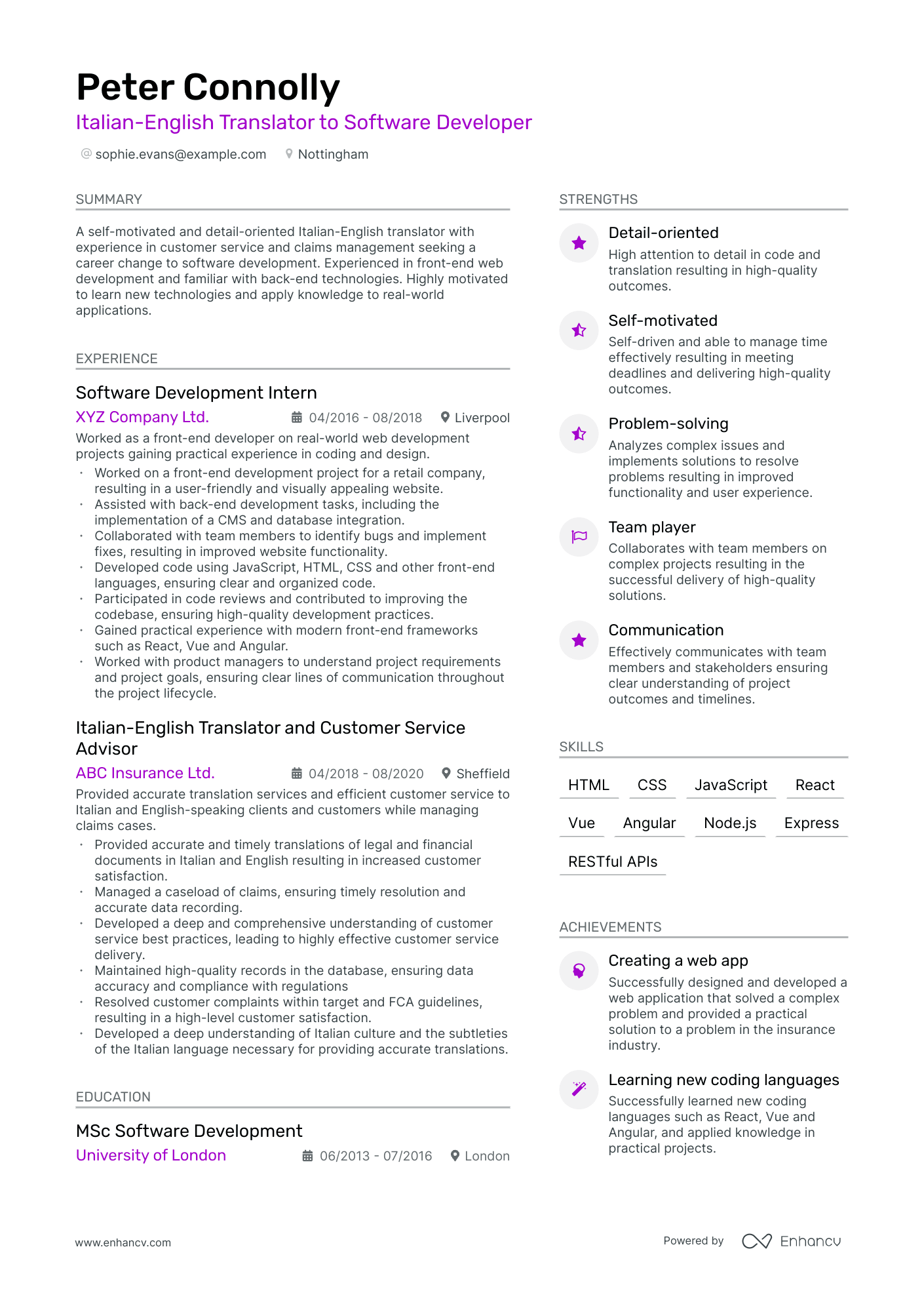3 Translator CV Examples for 2024