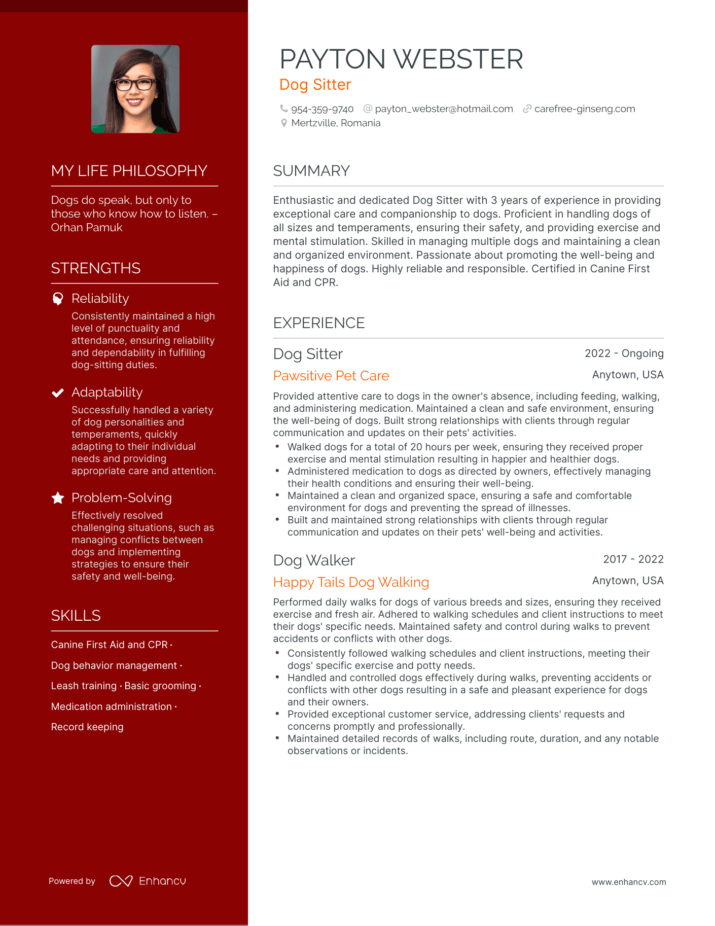 3 Dog Sitter Resume Examples How To Guide For 2024