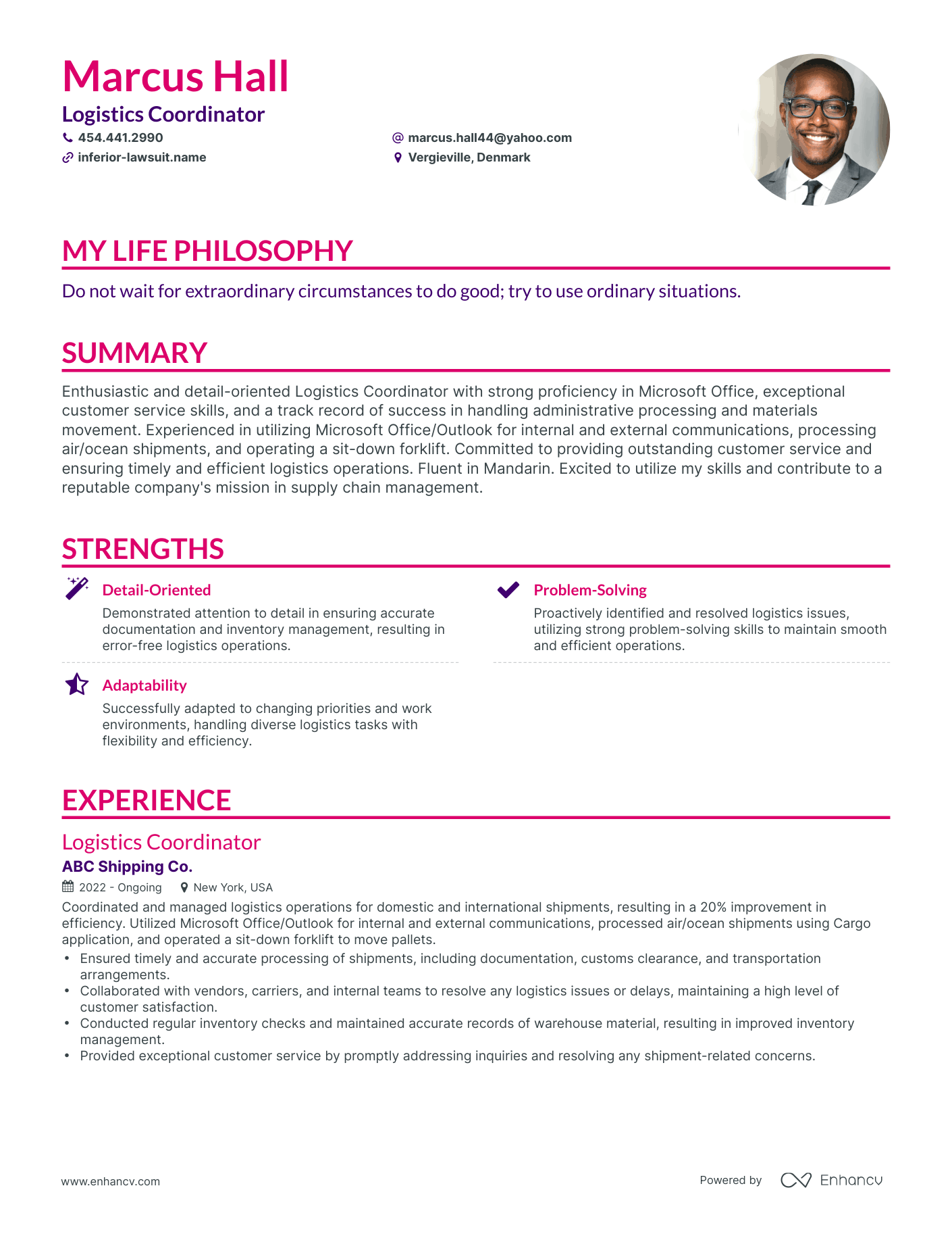 Logistics Coordinator Cv Logistics Coordinator Resume Samples