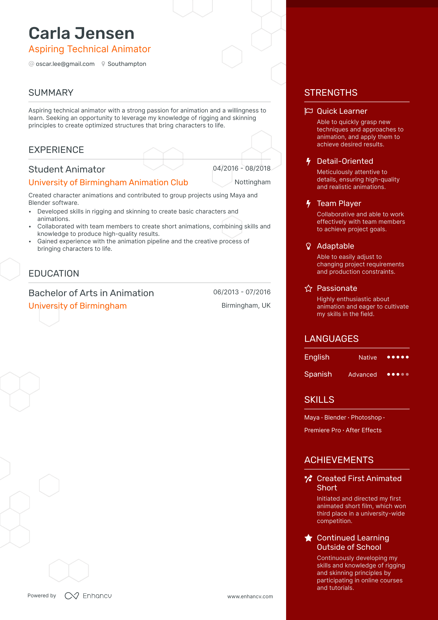 3 Animator Cv Examples For 2024