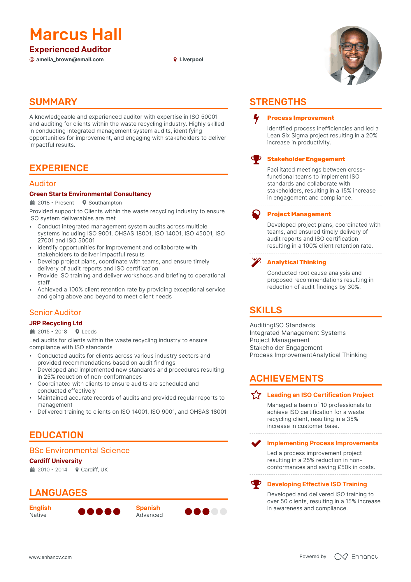 3 Auditor CV Examples for 2024