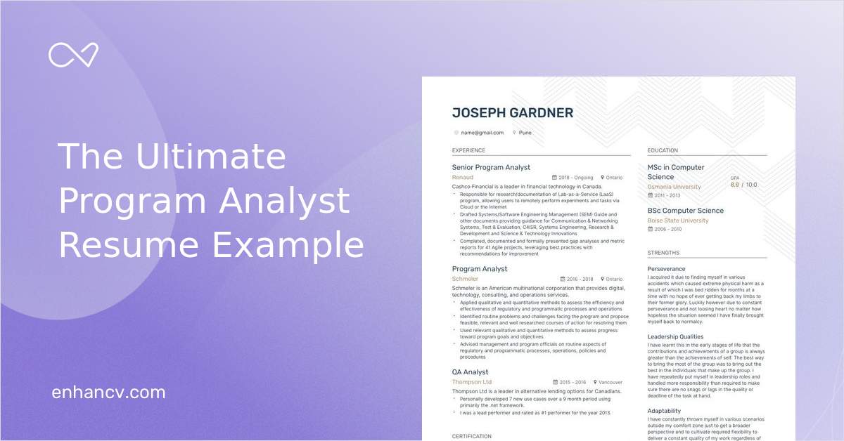 5 Program Analyst Resume Examples & Guide for 2023