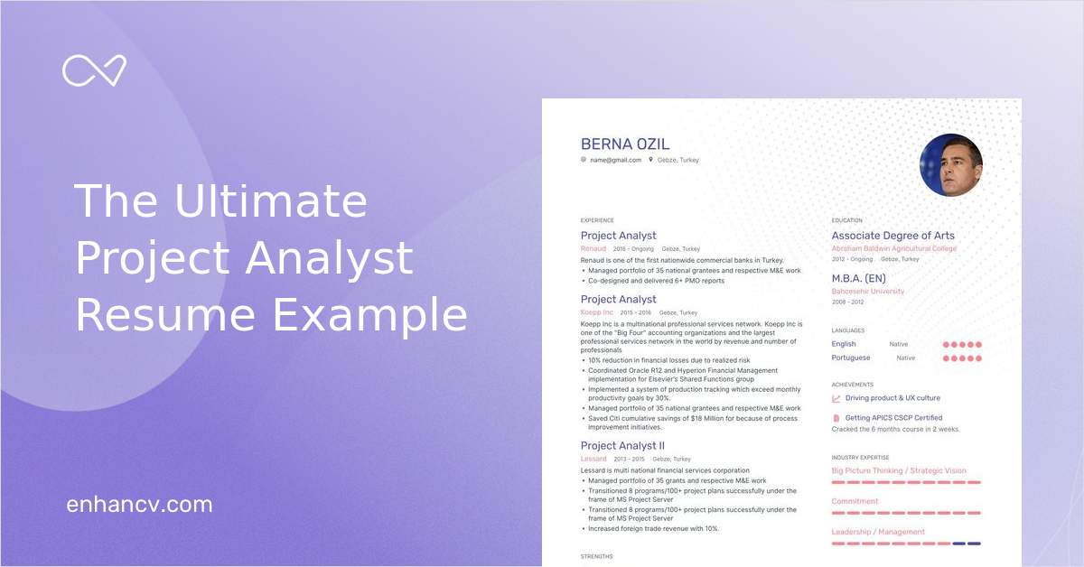 5 Project Analyst Resume Examples & Guide for 2023