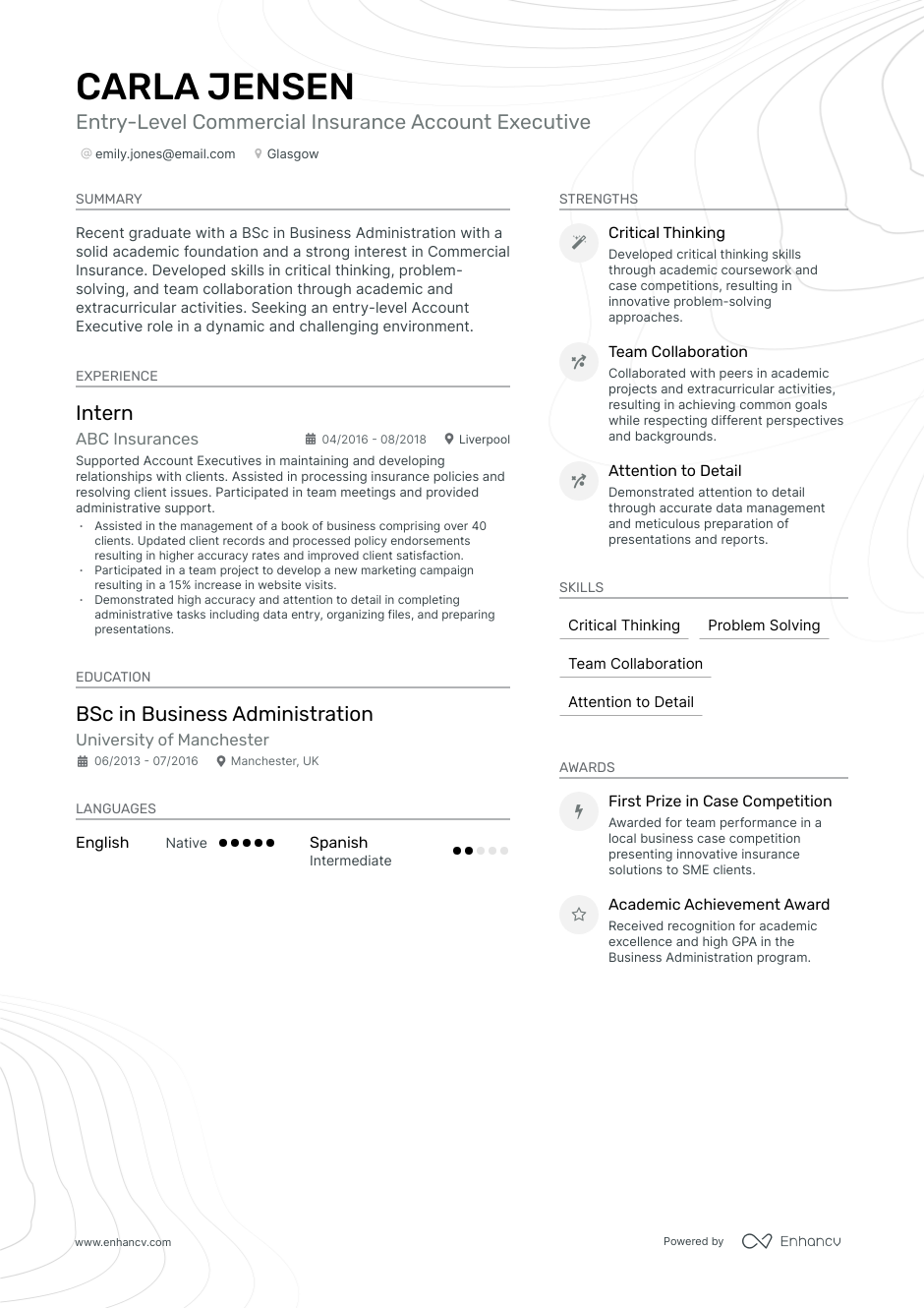 3 Account Executive CV Examples for 2023