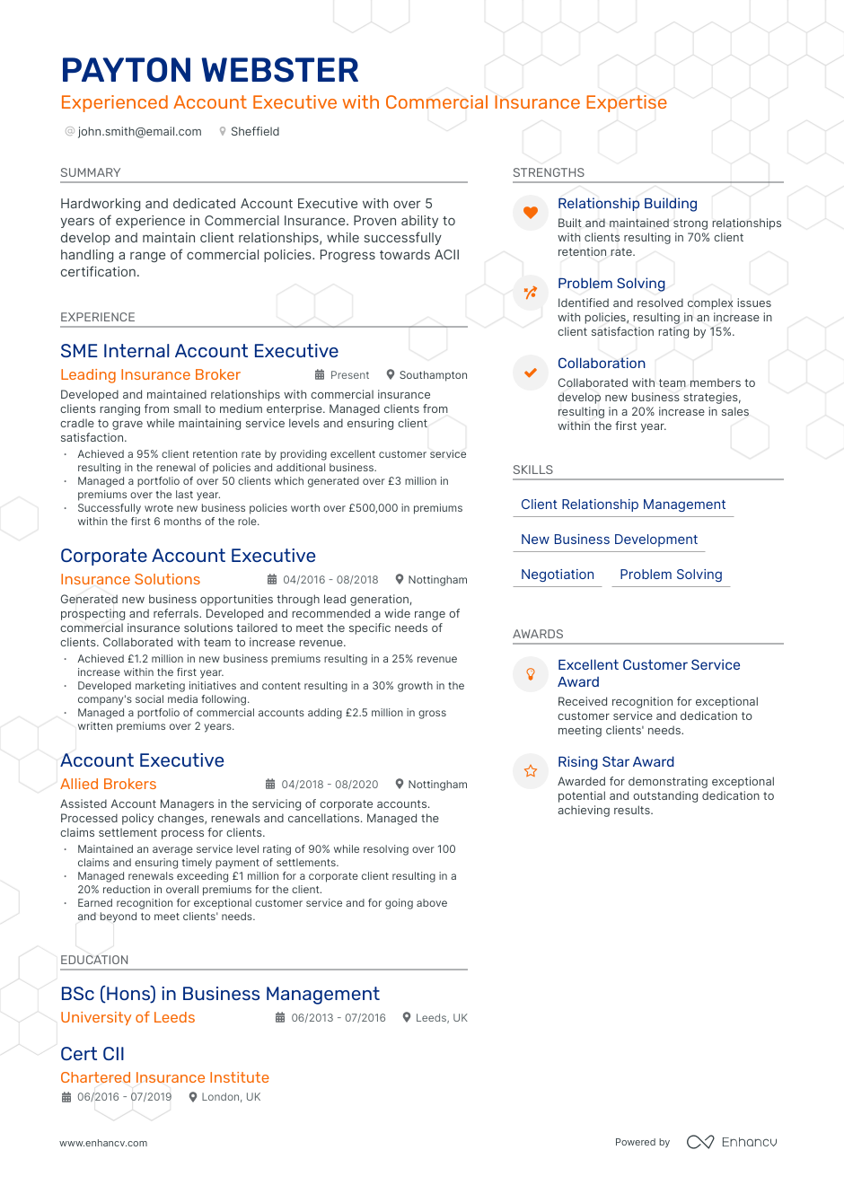 3 Account Executive CV Examples for 2023