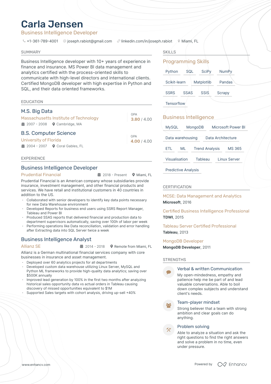 4 Business Intelligence Resume Examples & Guide for 2023