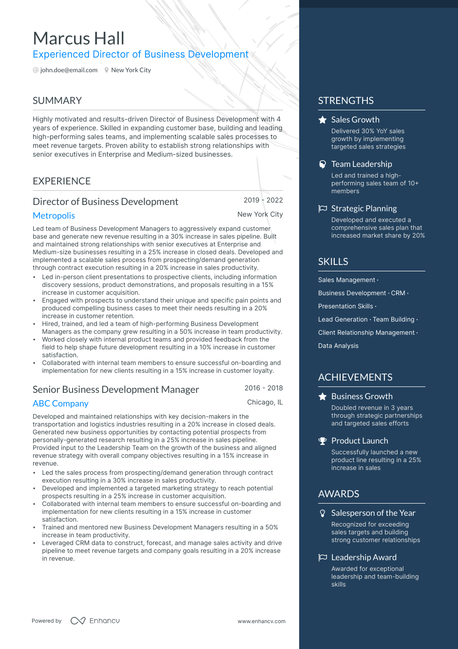 5 Director of Business Development Resume Examples & Guide for 2023