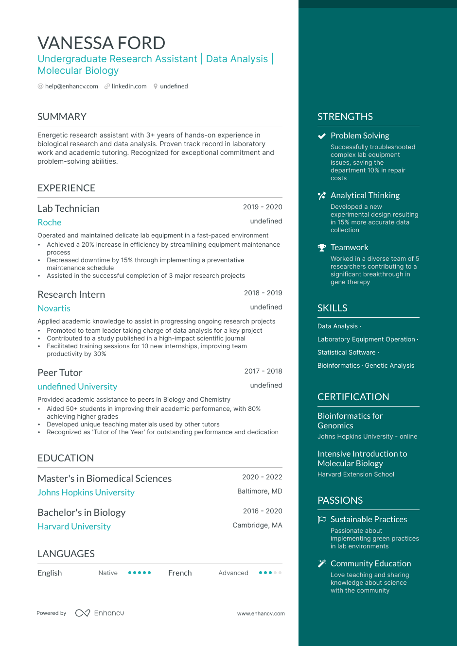 Accenture Infographic Resume